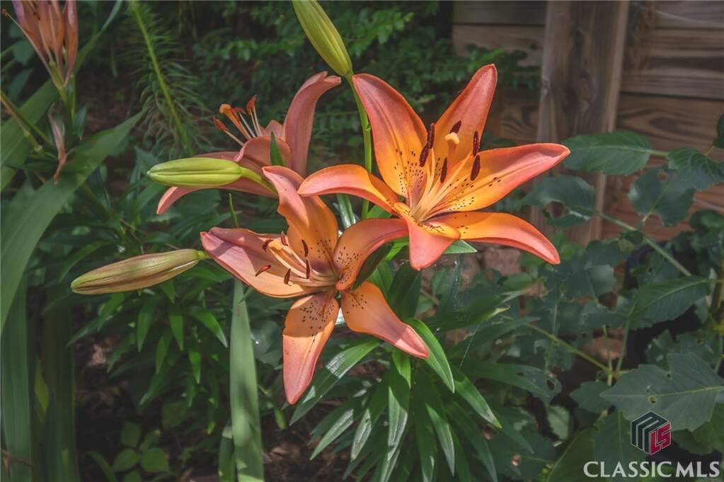 233 Township Lane, Athens, GA 30606 | MLS# 1017471 | Ansley Real Estate