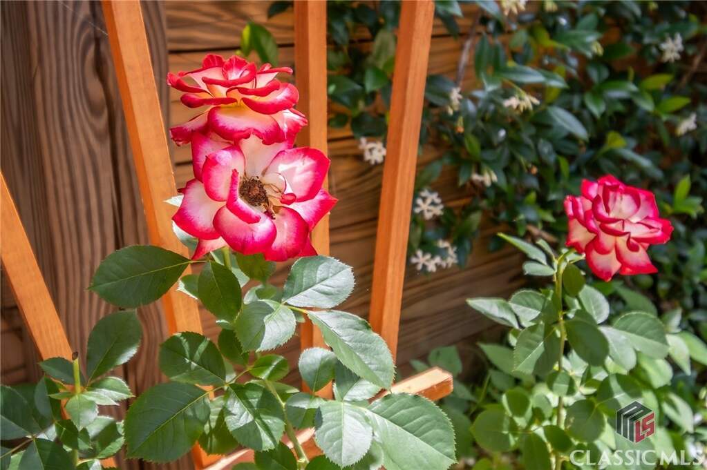 233 Township Lane, Athens, GA 30606 | MLS# 1017471 | Ansley Real Estate