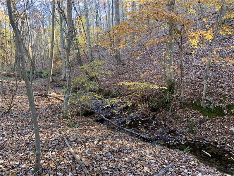 00 Brushy Mountain Road, Braswell, GA 30153 | MLS# 6676872 | Ansley ...