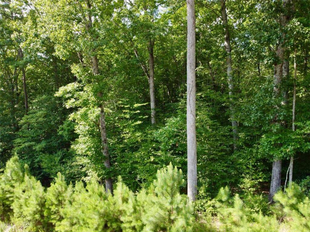 2400 New Hope Road, Dacula, GA 30019 | MLS# 7614687 | Ansley Real Estate