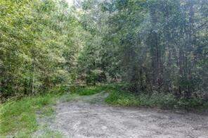 251 A Murphy Trail, Ball Ground, GA 30107 | MLS# 7659154 | Ansley Real ...