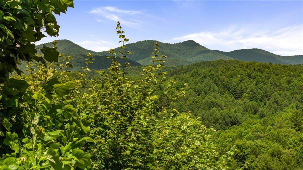 469 Mountain High Drive, Mineral Bluff, GA 30559 | MLS# 7673717 ...