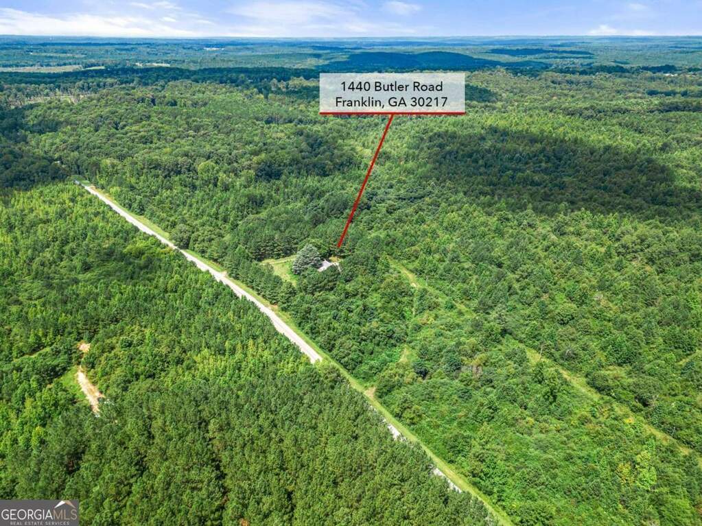 1440 Butler Road, Franklin, GA 30217 | MLS# 10360953 | Ansley Real Estate