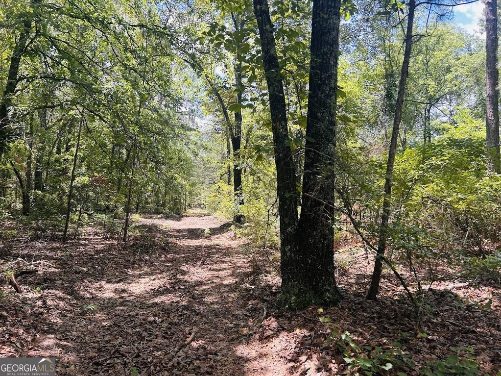 0 Moores Chapel Road, Mauk, GA 31058 | MLS# 10544008 | Ansley Real Estate