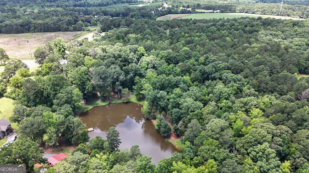 1794 Dames Ferry Road, Forsyth, GA 31029 | MLS# 10544996 | Ansley Real ...