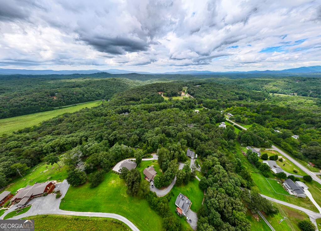 .49 ACRES Shady Grove, Blue Ridge, GA 30513 | MLS# 10579496 | Ansley ...