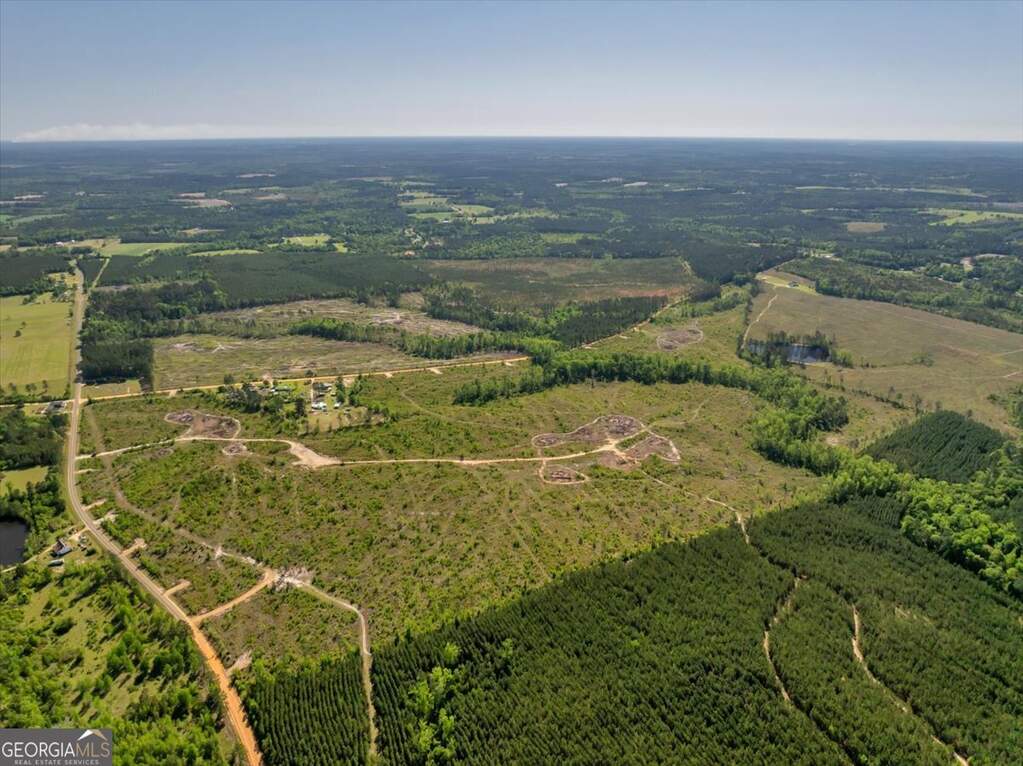 0 Alton Stewart Road, East Dublin, GA 31027 | MLS# 10628094 | Ansley ...