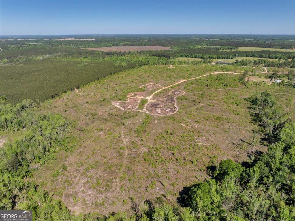 0 Alton Stewart Road, East Dublin, GA 31027 | MLS# 10628094 | Ansley ...