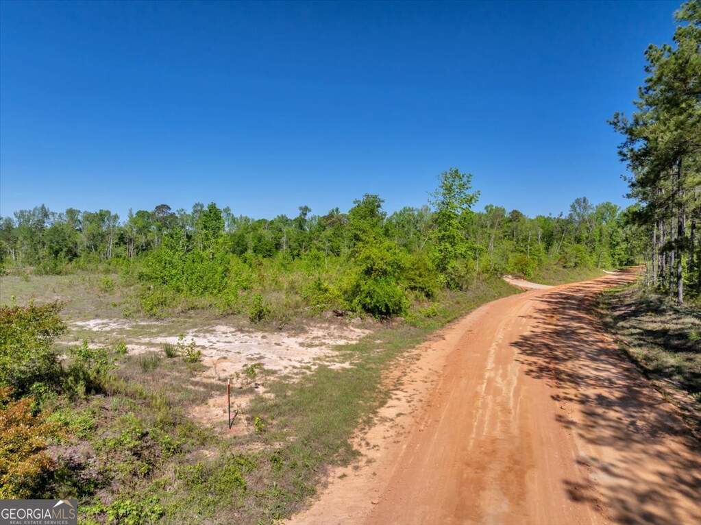 0 Alton Stewart Road, East Dublin, GA 31027 | MLS# 10628094 | Ansley ...