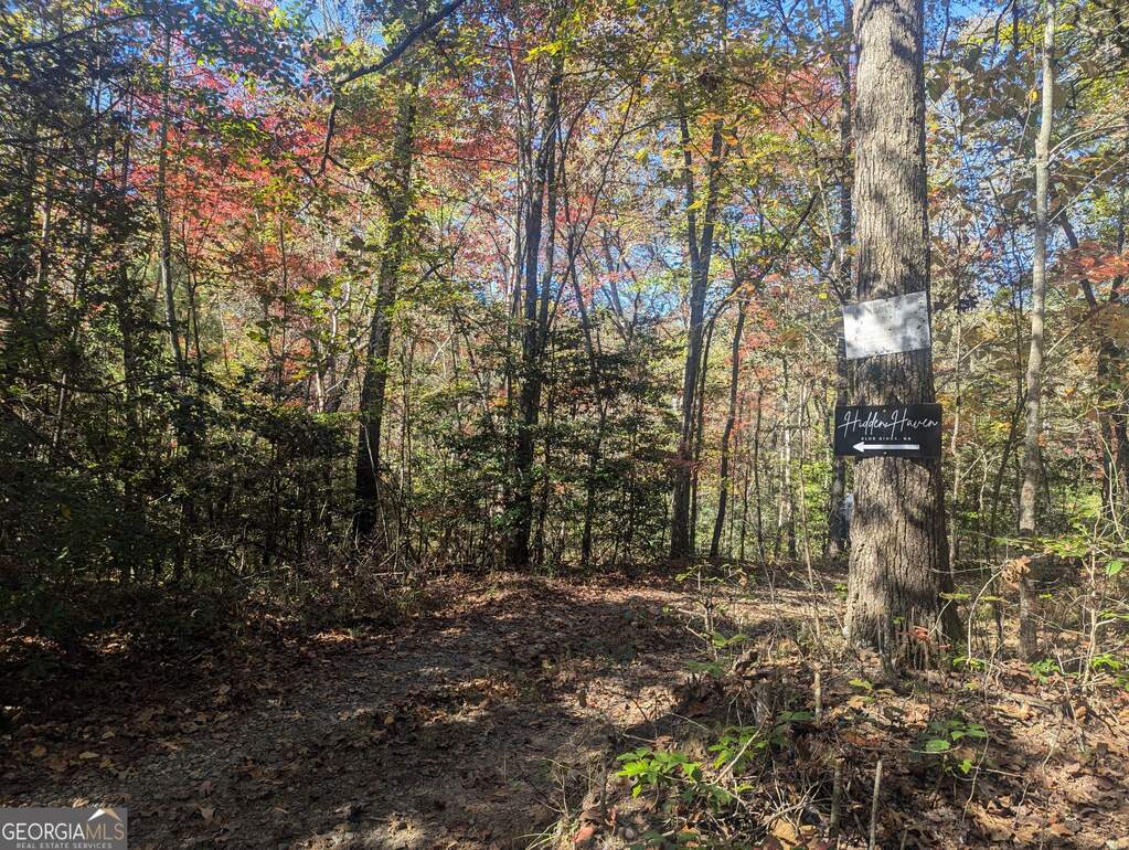 26.89 AC Shadow Lane, Blue Ridge, GA 30513 | MLS# 10631065 | Ansley ...