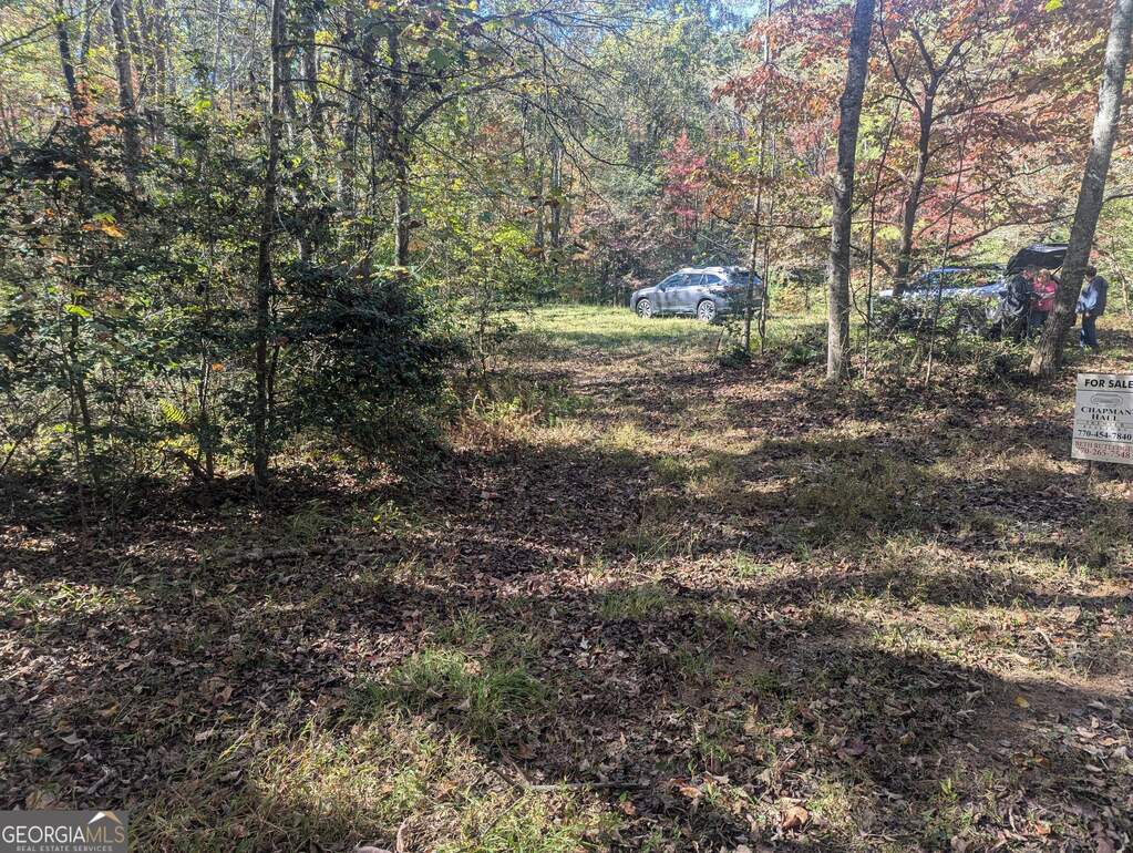 26.89 AC Shadow Lane, Blue Ridge, GA 30513 | MLS# 10631065 | Ansley ...